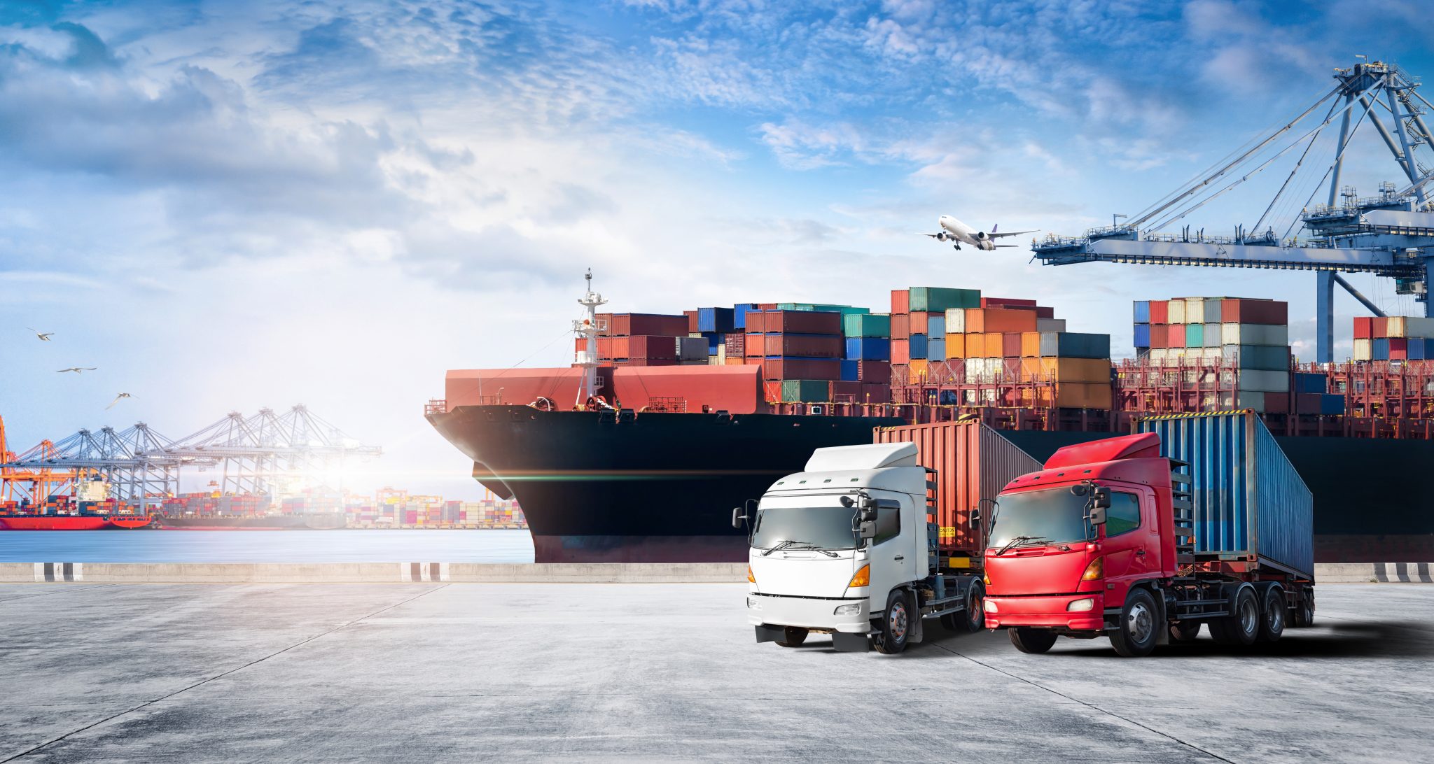 SCPHA – Port Health Felixstowe